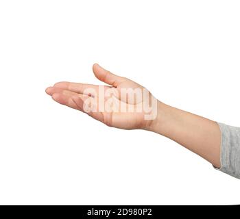 female hand extended forward with open empty palm on white background ...