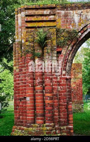 Medieval ruined monastery in a public park in Greifswald, Germany Stock ...