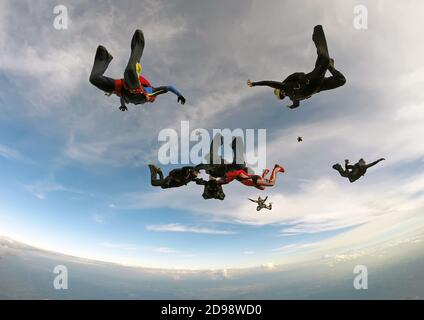 Skydiving group formation Stock Photo - Alamy