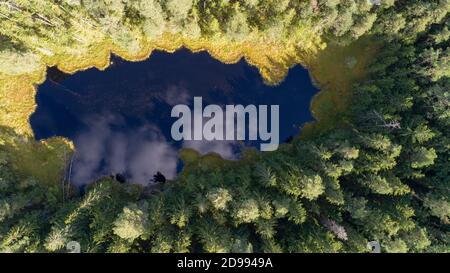 Aerial view of Dystrophic humic lake in Wigry National Park in Poland ...