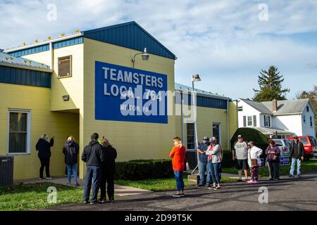 Milton, United States. 03rd Nov, 2020. Candidate yard signs are ...