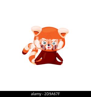 Red panda doing yoga. Cute baby red panda stretching out isolated in ...