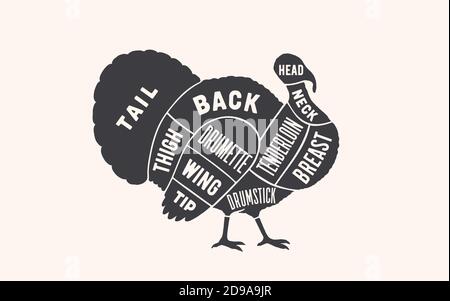 Turkey diagram cuts. Butcher scheme poster. Cuts of turkey meat. Meat ...
