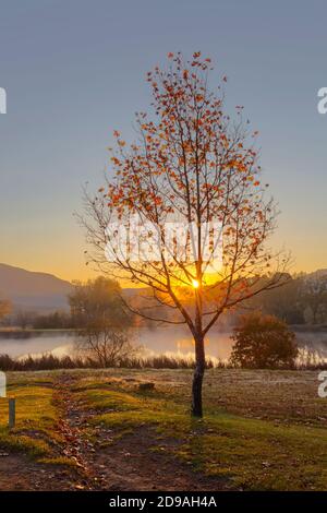 The rising sun cast golden rays lighting a watery path that leads to ...