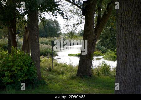 Beautiful shot of a river in a park Stock Photo - Alamy
