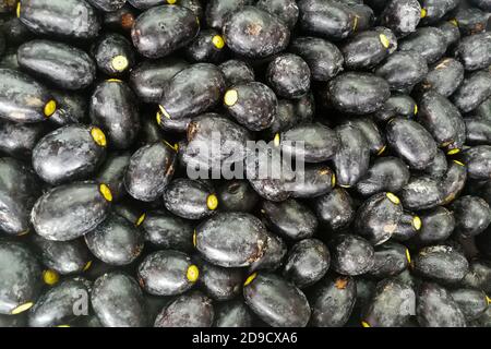 The Dabai fruit, known as Sibu olive, indigenous to Sarawak Stock Photo ...