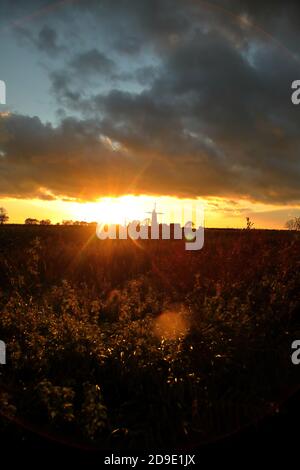 Great Bircham, UK. 03rd Nov, 2020. Bircham windmill, at Great Bircham ...