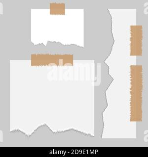 Paper tear border. Set of torn horizontal seamless paper stripes. Paper ...