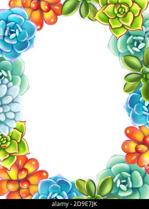 Floral Border. Succulents arranged un a shape of frame Stock Photo - Alamy