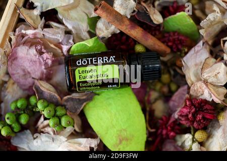 Illustrative editorial image of Doterra essential oils on display in ...