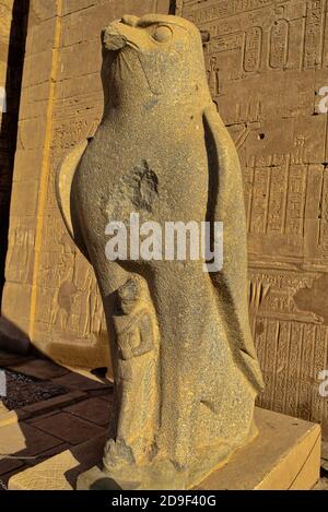 Horus-falcon, hieroglyph relief on the Egyptian obelisk, ancient ...