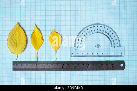 Engineer are measuring distance in drawing using pencil and ruler Stock ...