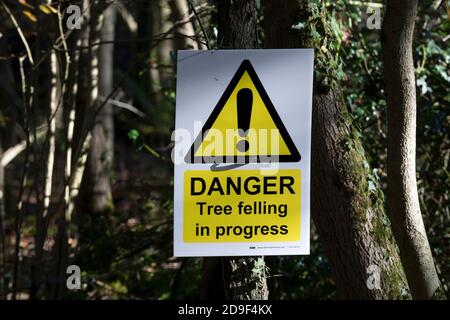 Danger Tree felling in progress warning sign - Scotland, UK Stock Photo ...
