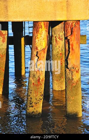 Rusty and barnacle covered pier legs on harbour pontoon Stock Photo - Alamy