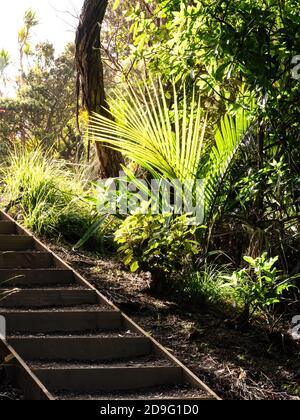 Hillary hiking track Stock Photo - Alamy