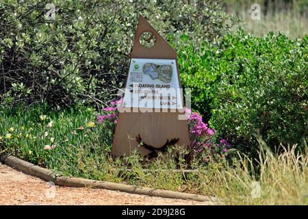 Intaka Bird Sanctuary near Cape Town is home to a large variety of ...