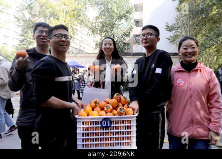 Students show their persimmon picked in the Northwestern Polytechnical ...