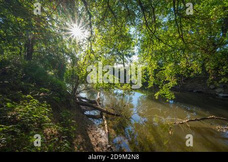 River, Kinzig, Spring, Langenselbold,, Hesse, Germany Stock Photo - Alamy