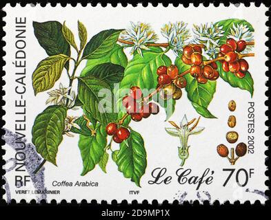 Coffee berries on postage stamp of Laos Stock Photo - Alamy
