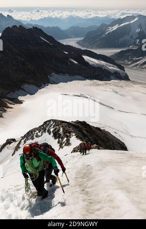 Snow field, firn field, snow, firn, mountains, mountain flank, east ...