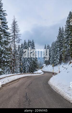 A lonely road in winter, between trees with snow on a foggy morning ...