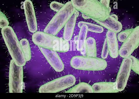 3d illustration of a plague bacterium (Yersinia pestis). This is a Gram ...