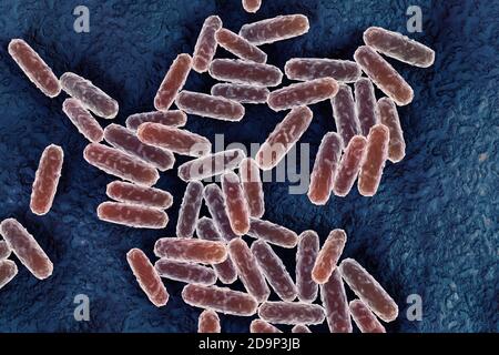 3d illustration of a plague bacterium (Yersinia pestis). This is a Gram ...