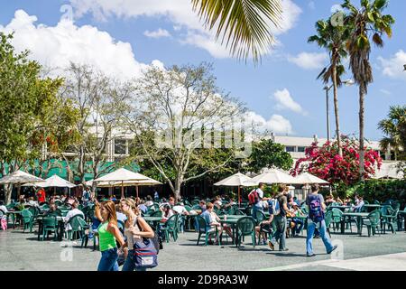 Miami Florida,Coral Gables,University of Miami,UM,Otto G. Richter ...