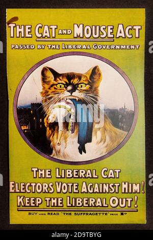 The Cat and Mouse Act suffragette poster 1914 Stock Photo - Alamy