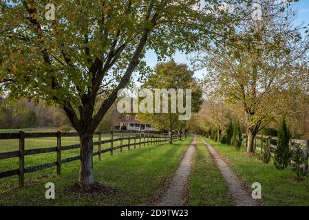 Going home. Entrance road to bucolic farm house in rural Virginia Stock ...