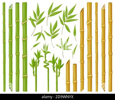 Jungle plants, green bamboo leaves pattern design background Stock ...