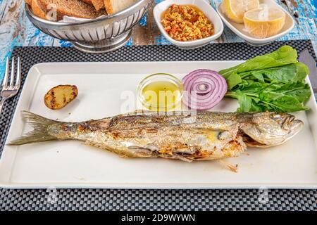 Grilled bluefish fish platter. Bluefish and appetizers in white plate ...