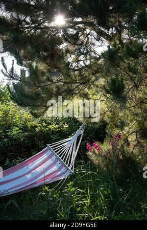 Hammock swing hanging in garden on a beautiful Spring day Stock Photo ...