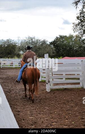 Cowboy show in George Ranch Historical Park in Richmond, Texas Stock ...
