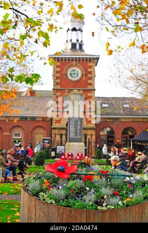 Poppy laying on planter containing colourful plants in Lytham market ...