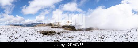 Rocky peak of mountain range covered with spruce forest in foggy ...