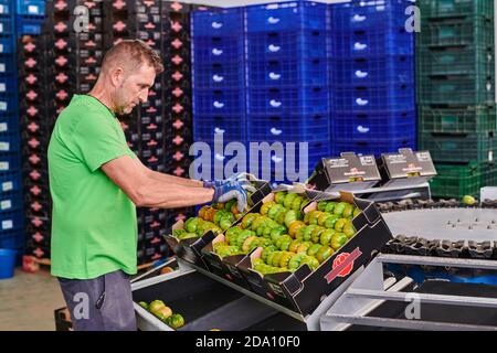 Male employee working in box delivery relocation service Stock Photo ...
