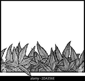Hand drawn cannabis leaves on white background, Japanese, Chinese asian ...