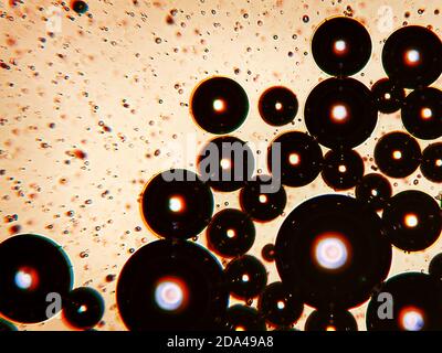 Coffee bubbles under the microscope Stock Photo - Alamy