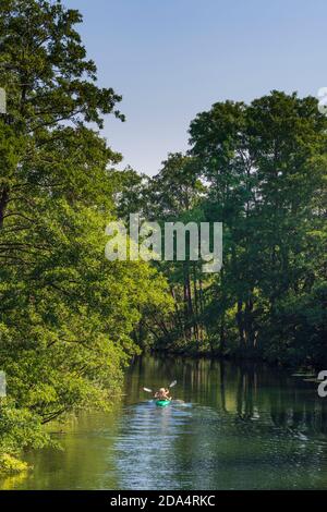 Groß Sarau: river Wakenitz, forest, canoeists, Herzogtum Lauenburg ...