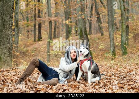Unconditional love. Siberian husky favorite pet. Animal husbandry. Girl ...