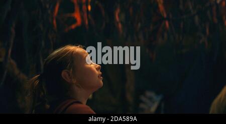 EMILY AND THE MAGICAL JOURNEY, (aka FAUNUTLAND AND THE LOST MAGIC ...