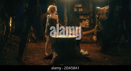 EMILY AND THE MAGICAL JOURNEY, (aka FAUNUTLAND AND THE LOST MAGIC ...