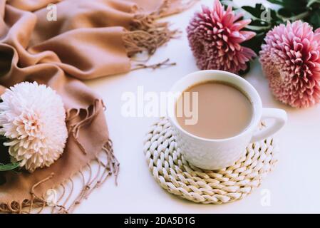 pink winter chrysanthemum flowers with space for text. garden ...