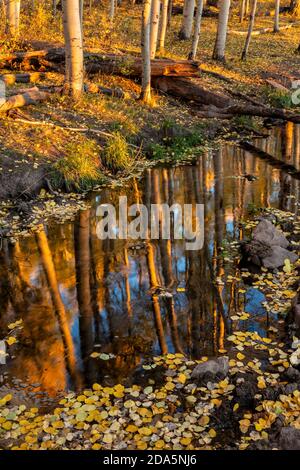 Moab in Utah: Warner Lake in the La Sal Mountains Stock Photo - Alamy