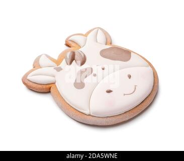 Tasty cookie in shape of bull and Christmas decor on color background ...