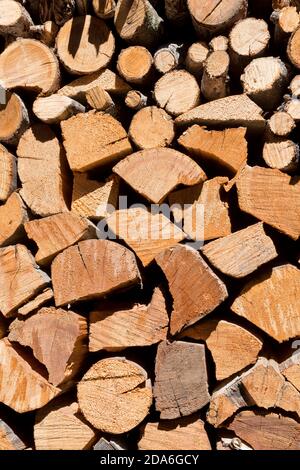 Switzerland, Valais, Wallis, Lötschental, Ferden, chalet, chalets ...