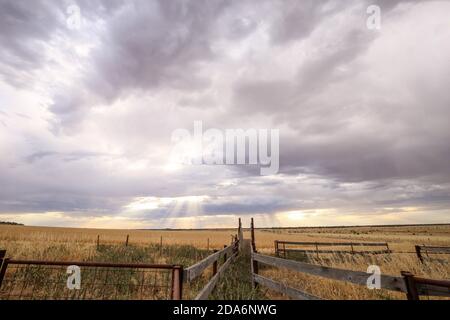 Old farm gates falling over in the countryside Stock Photo - Alamy