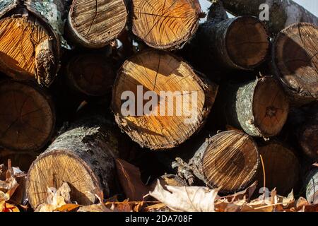 Dry stacked firewood with autumn leaves Stock Photo - Alamy