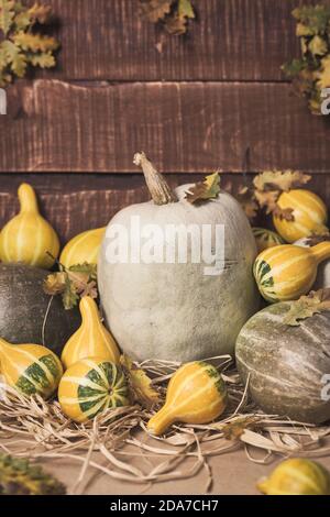 Autumn composition with different pumpkins, straw and rowan-berry ...